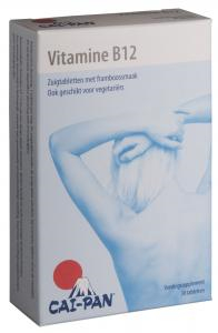 Vitamine B12 Japan Mint 60 zuigtabletten kopen - Gezondheid aan huis