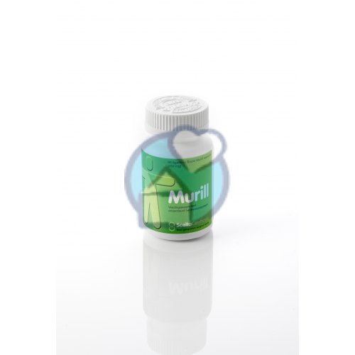 Agaricus Blazei Murill Murill 90 capsules kopen - Gezondheid aan huis
