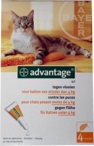 Kat 40 tegen Vlooien Advantage 4 stuks kopen - Gezondheid aan huis
