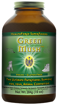 Green Mush HealthForce 284 gram kopen - Gezondheid aan huis
